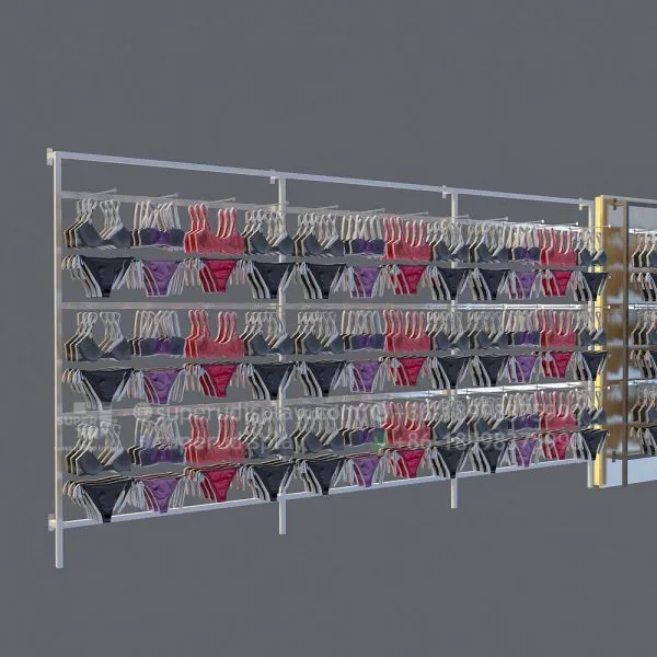 Custom Boutique Wall Display Rack for Women's Clothing Manufacturer ...